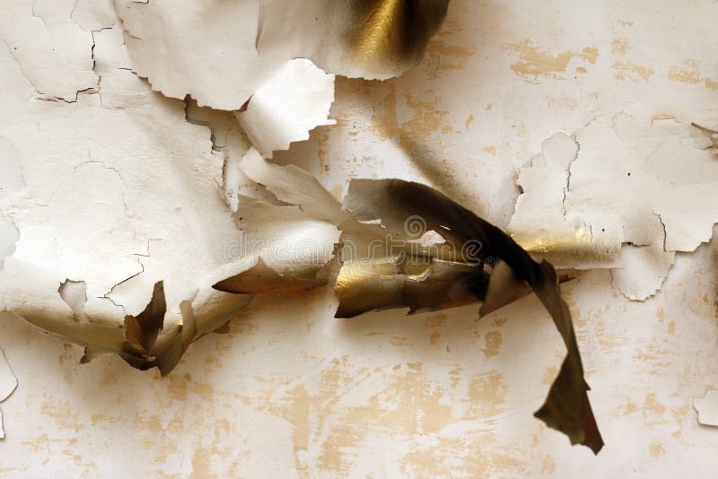 Legado Visual (Legadovisual) - Photographer profile