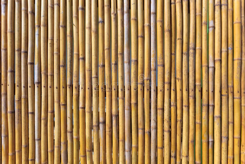 Bamboo wall stock image. Image of organic, bundle, design - 30586547