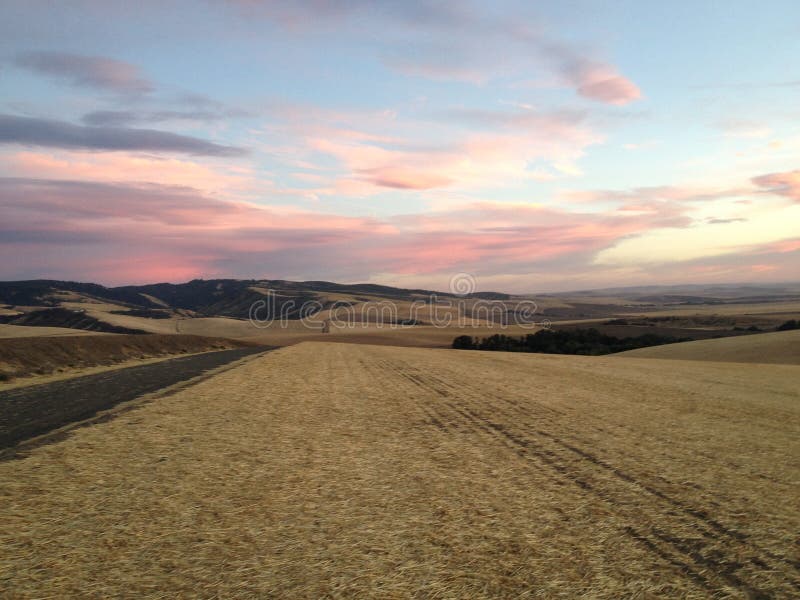 Walla Walla Wheat Fields stock photo. Image of fields - 67234400
