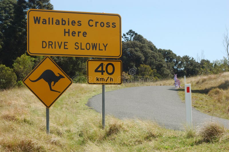 Australian Wildlife Road Sign, Road Trip Stock Photo - Image of sign ...
