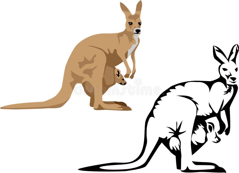 Wallaby stock vector. Illustration of kangaroo, kangeroo - 33569928