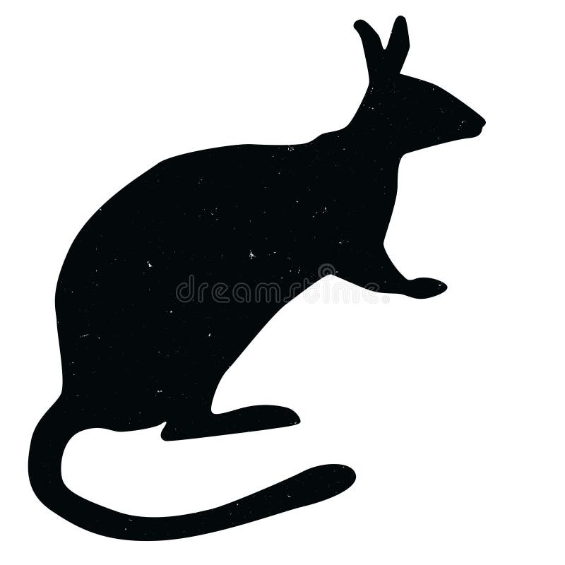 Wallaby Shadow Animal Icon Silhouettes Isolated on Dark Black Graphical ...