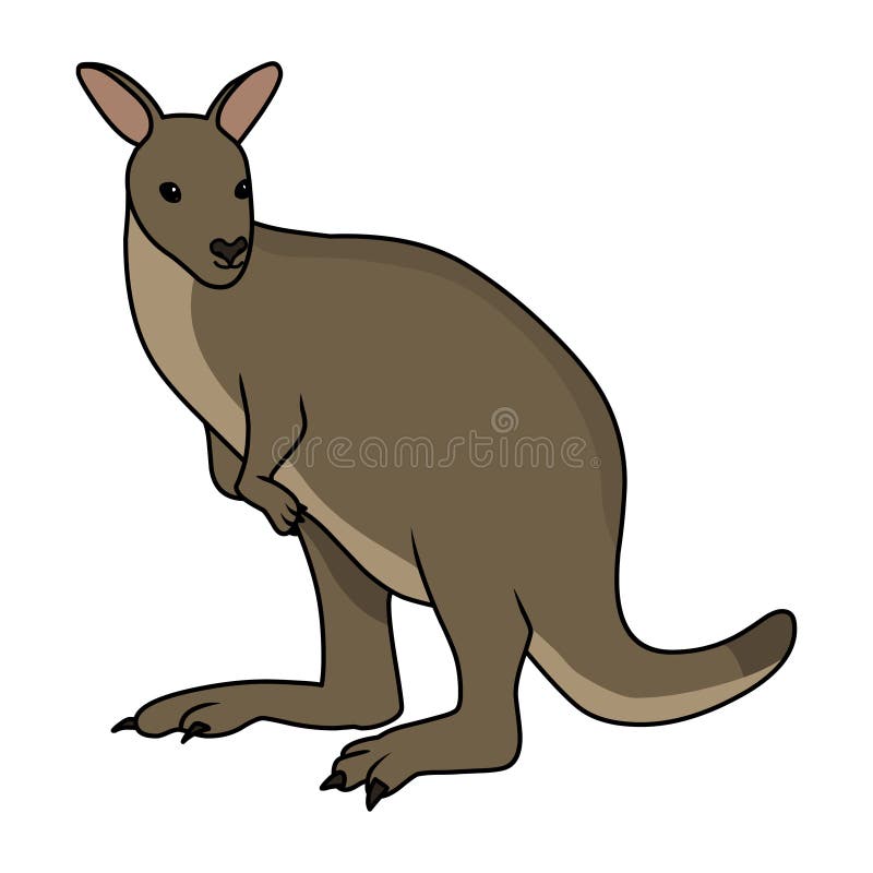 Wallaby Vector Illustration Stock Vector Illustration Of Artistic