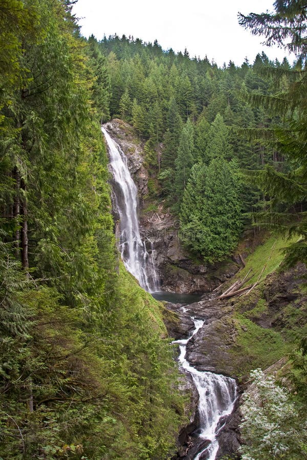 Wallace Falls State Park stock photo. Image of waterfall - 31255210