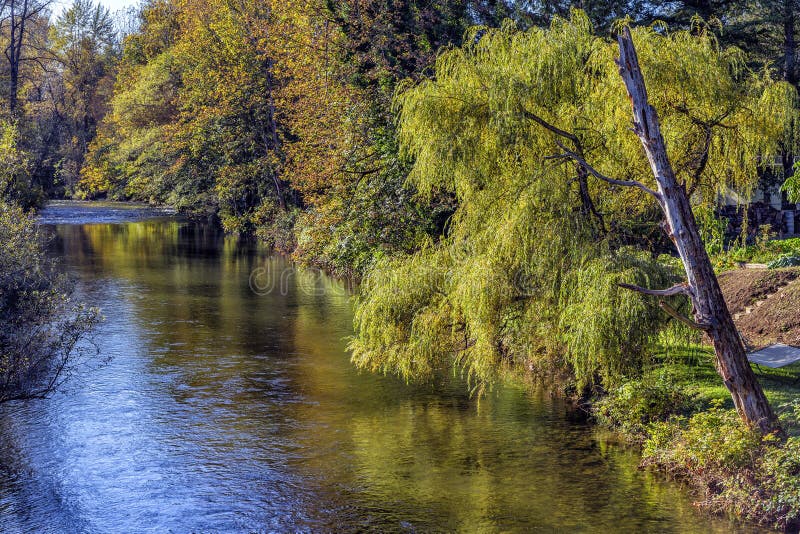 Wallace River photo stock. Image du lifestyle, danger - 79003648