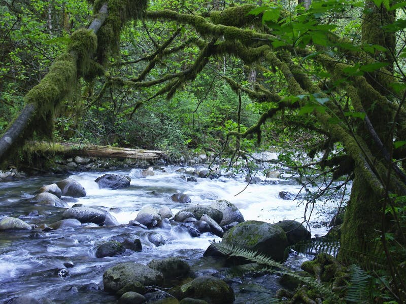 River Rush stock photo. Image of time, falling, nature, cliff - 11668
