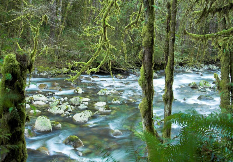 Wallace River in Winter stock image. Image of gentle, harmonious - 519205