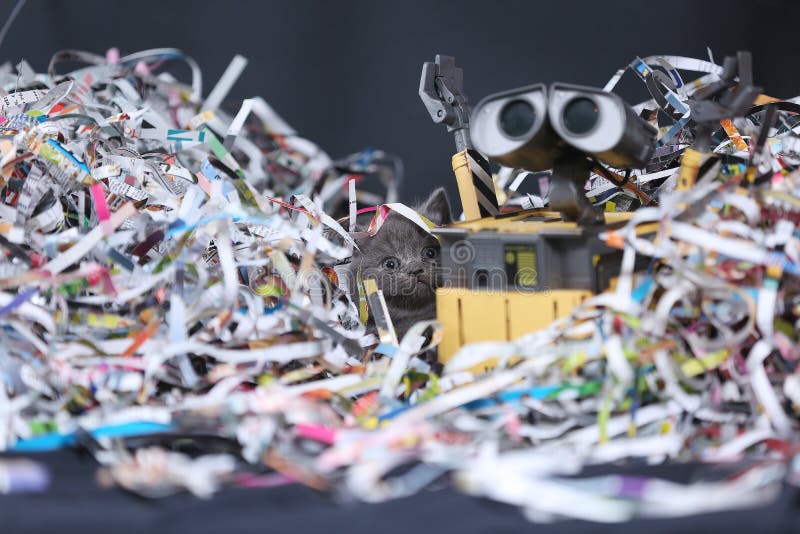 Wall-e Playing with Shredded Paper Editorial Image - Image of standing ...