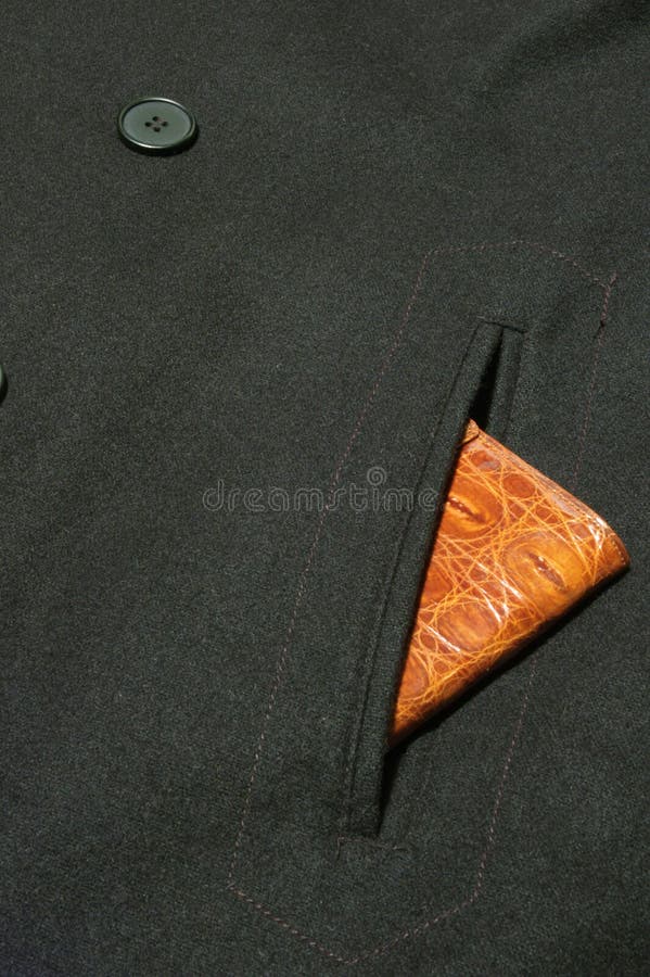 The wallet stock photo. Image of business, male, pocket - 1786212