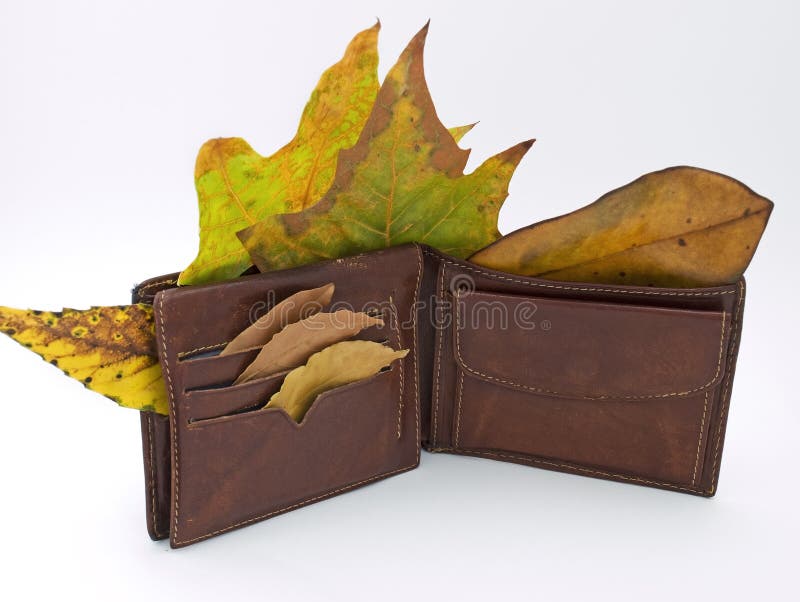 Wallet in the Autumn stock photo. Image of life, pocketbook - 6281048