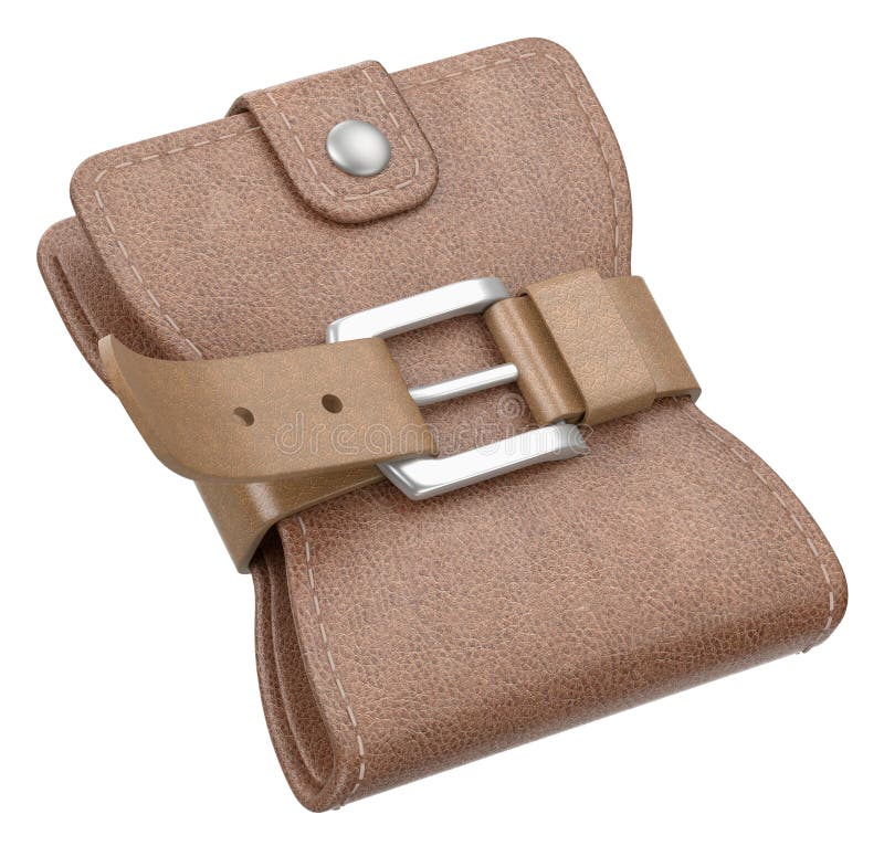 Cartoon Empty Wallet Illustration with Flying Moth. Stock Illustration ...