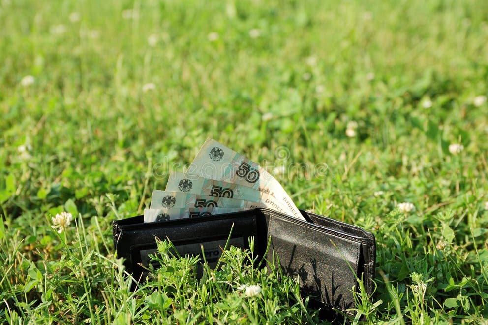 Wallet with cash at grass stock image. Image of grass, banking - 996035