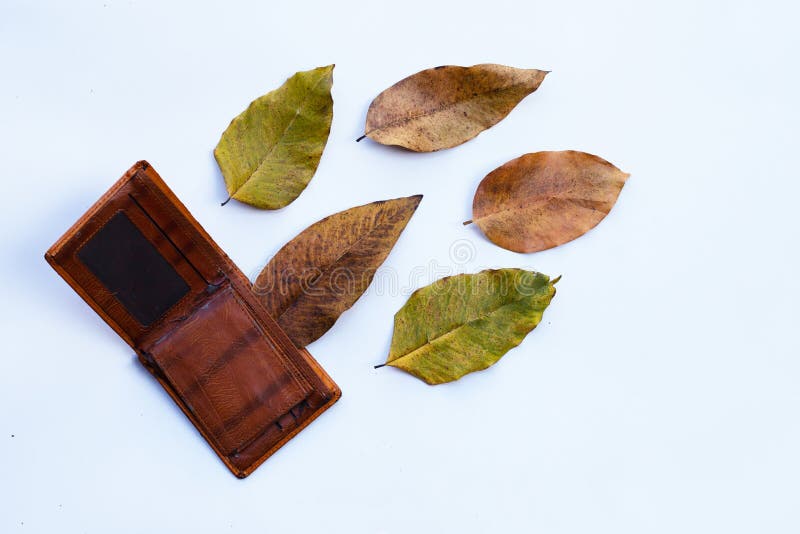Wallet with Dry Leaves on White Background. Poor or No Money Concept ...