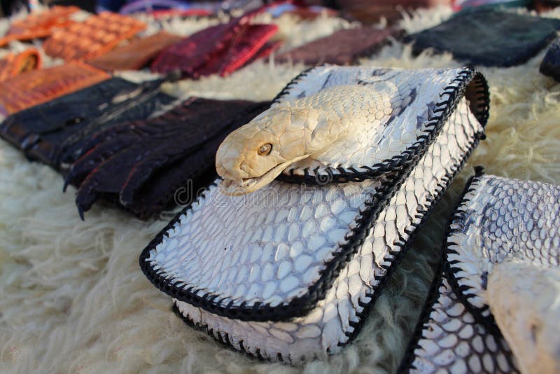 Wallet of Leather Snake Head Skin Stock Photo - Image of texture ...
