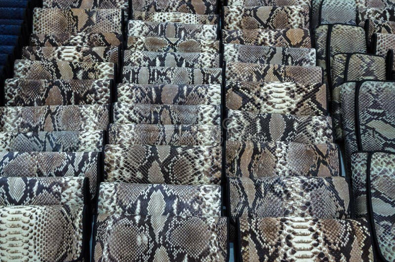 Wallet Made of Python Leather, Snake Skin Pattern Stock Image - Image ...
