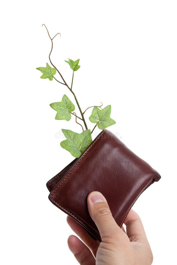 Wallet and plant stock photo. Image of money, wallet - 15281624