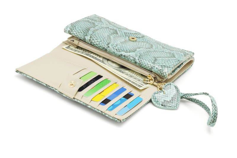 Snake Skin Wallet stock image. Image of credit, shape - 30235739