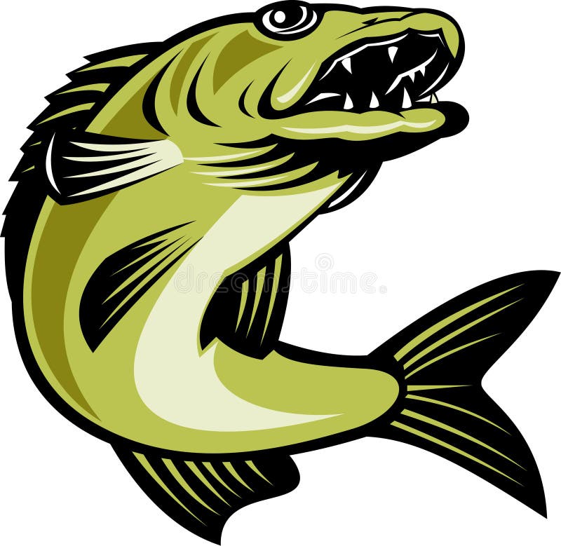 Walleye Stock Illustrations – 837 Walleye Stock Illustrations, Vectors ...