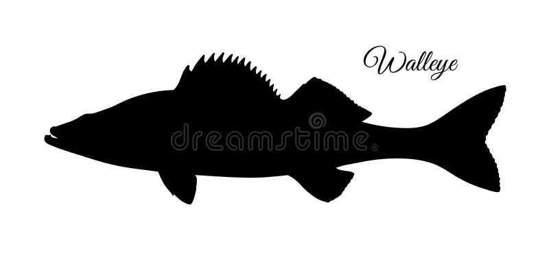 Walleye Stock Illustrations – 837 Walleye Stock Illustrations, Vectors ...