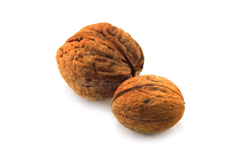 Saudi Arabian Food, Kleeja on White Background Stock Image - Image of ...