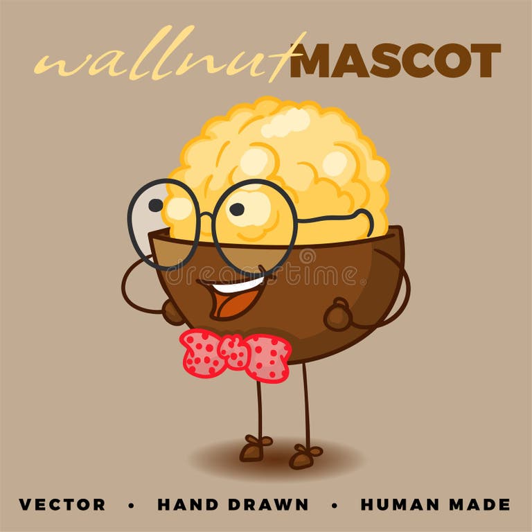 Vector Colored Walnut Mascot Stock Vector - Illustration of template ...