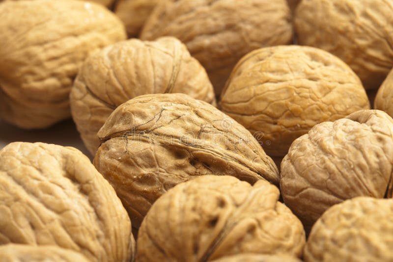 Wallnuts stock image. Image of ingredient, nuts, mixture - 17997473