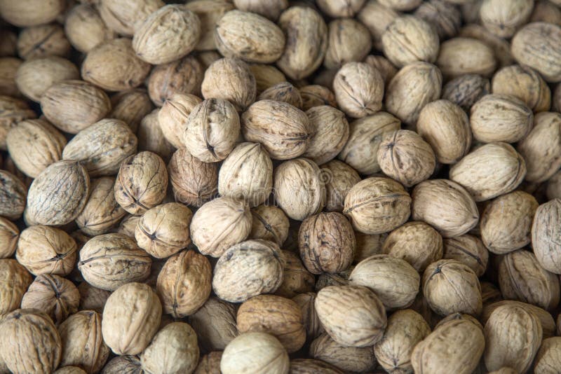 Wallnuts food nutshell stock image. Image of nutshell - 106516705