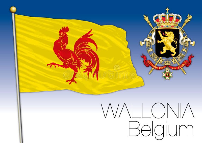 Wallonia Regional Flag, Belgium Stock Vector - Illustration of kingdom ...