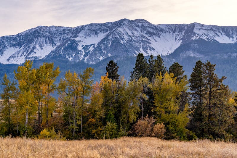 The Wallowas in Eastern Oregon Stock Image - Image of sunset, forest ...