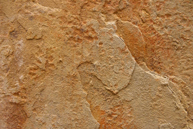 Color Plate Minecraft Bedrock Stock Photos - Free & Royalty-Free Stock ...