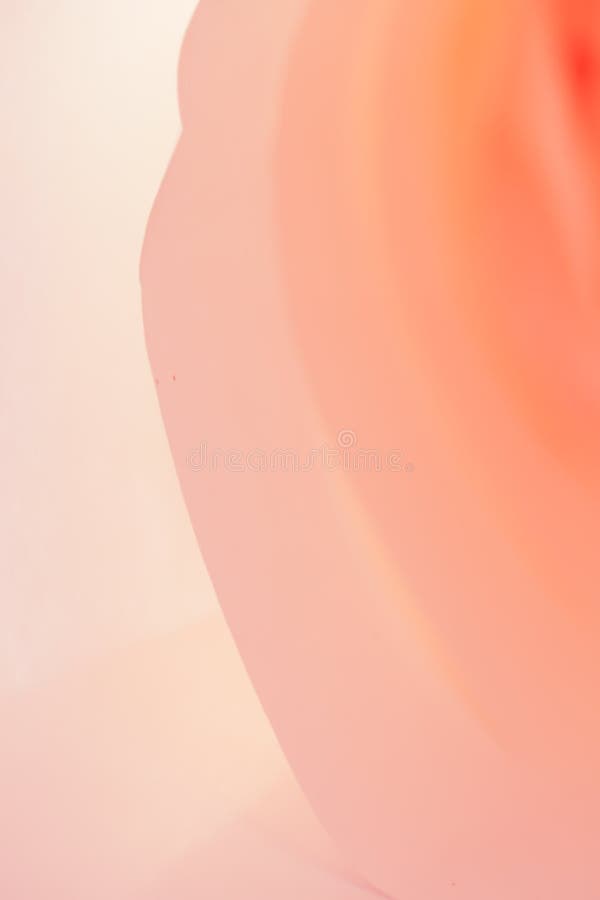 Wallpaper Abstract with Pink Gradient.Pink Layers Abstract Background ...