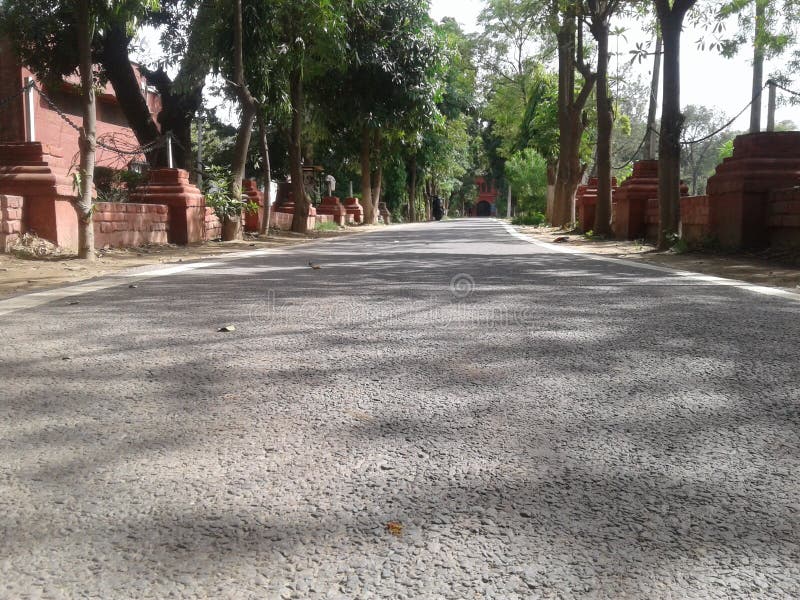 Road stock photo. Image of road, view, trees, background - 120655300