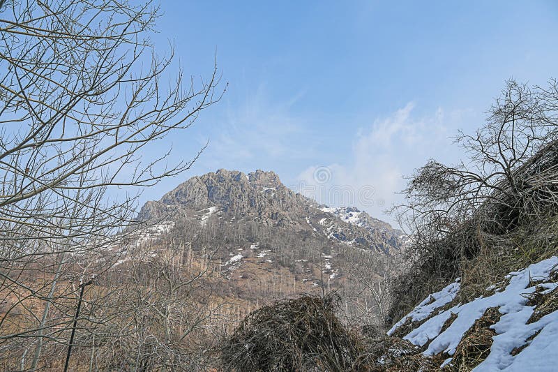 Wallpaper. Branches of Trees without Leaves, with Spring Swelling Buds ...