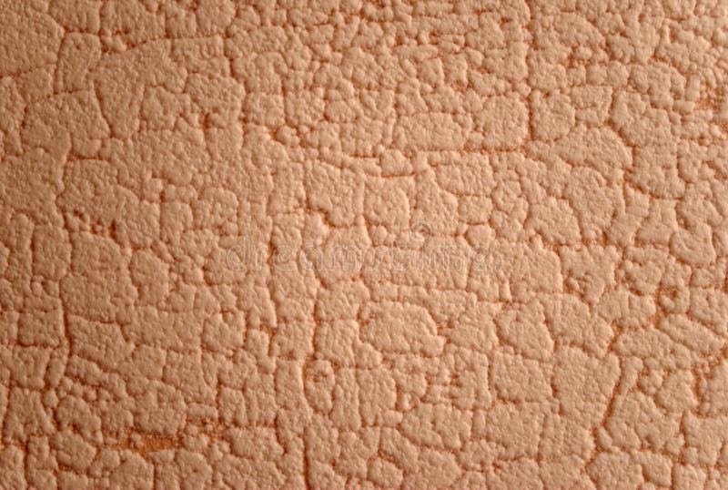 Wallpaper Material Picture. Image: 6090759