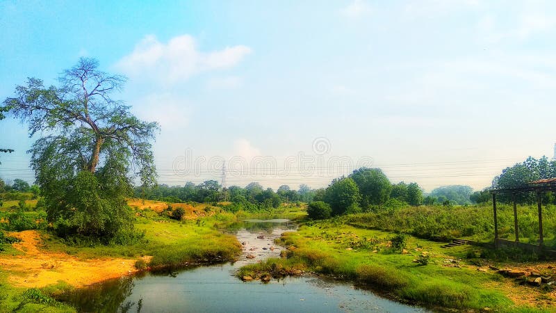 Wallpaper stock photo. Image of tree, river, nature - 153779356
