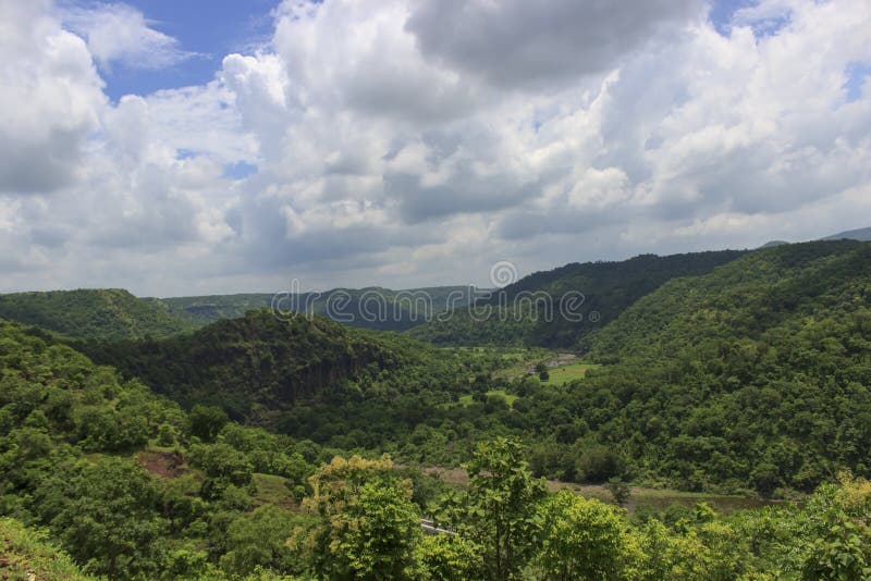 Wallpaper stock photo. Image of indore, tree, wallpaper - 98493832