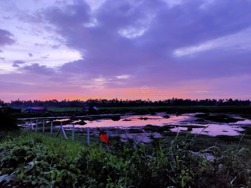 Wallpaper Sunset Time Evening Stock Photo - Image of road, bunch: 255413834