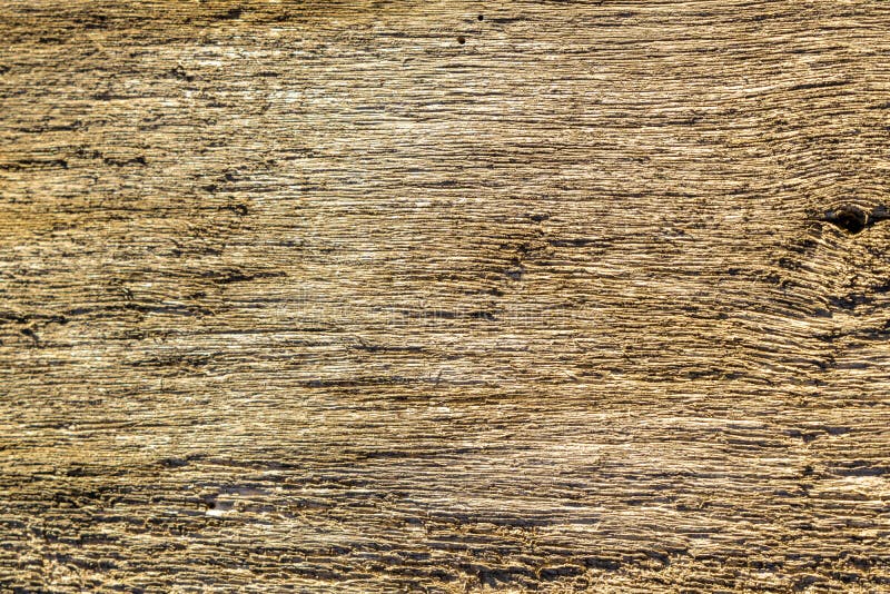 The Texture of the Old Rotten Tree with Bark Cracks and Irregularities ...