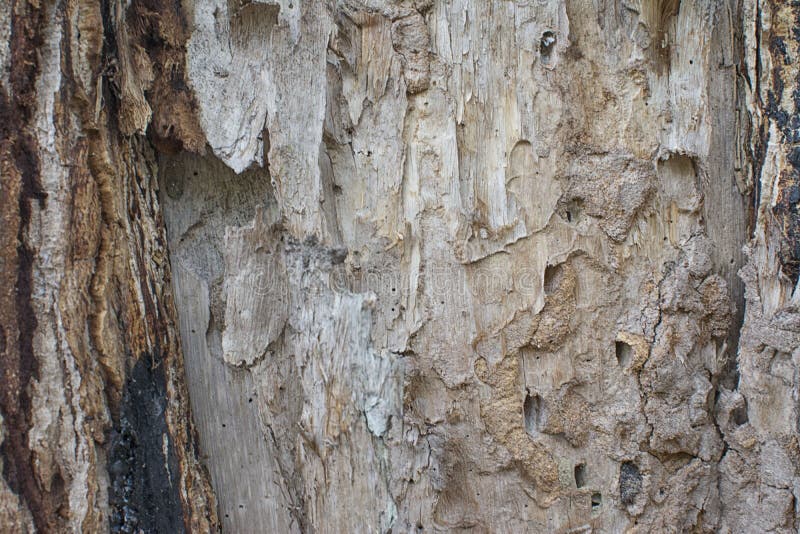 Unique Textures and Backgrounds for Decorative Wallpaper Stock ...