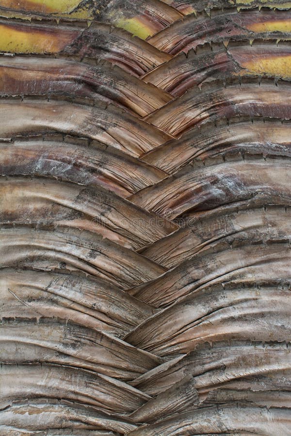 Unique Textures and Backgrounds for Decorative Wallpaper Stock ...