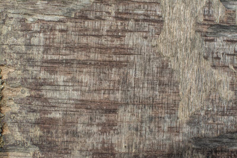 Unique Textures and Backgrounds for Decorative Wallpaper Stock ...