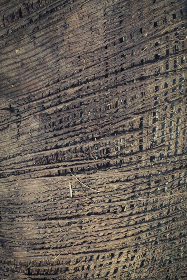 Unique Textures and Backgrounds for Decorative Wallpaper Stock Image ...