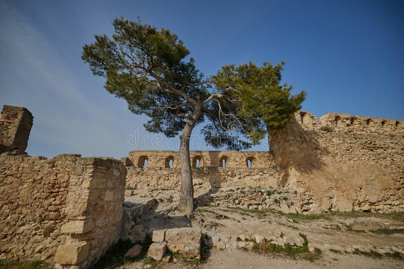 Walls of an Ancient Stone Fortress with a Large Tree Stock Photo ...
