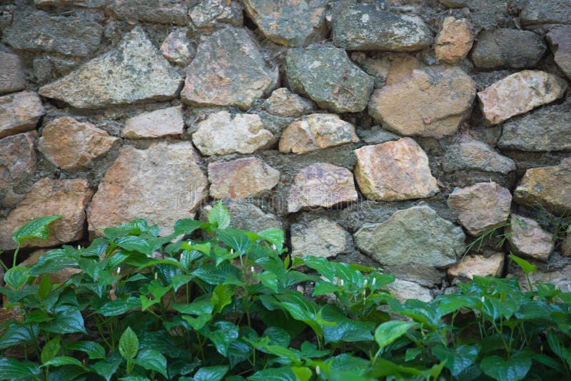 Walls are Decorated with Natural Stone for Wallpaper Stock Photo ...
