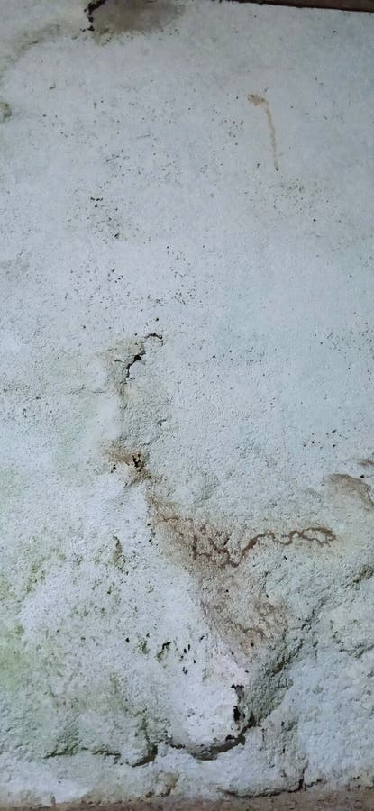 The Walls of the House Bubbled Due To Water Absorption Stock Photo ...