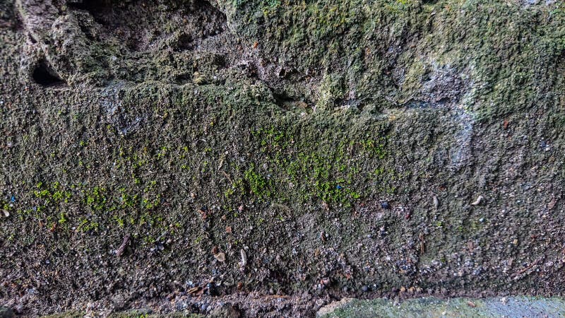 The Walls of the House are Covered in Moss Stock Photo - Image of road ...