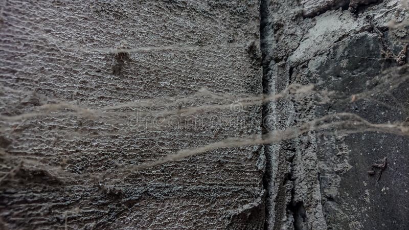 The Walls of the House are Full of Spider Webs. Stock Image - Image of ...