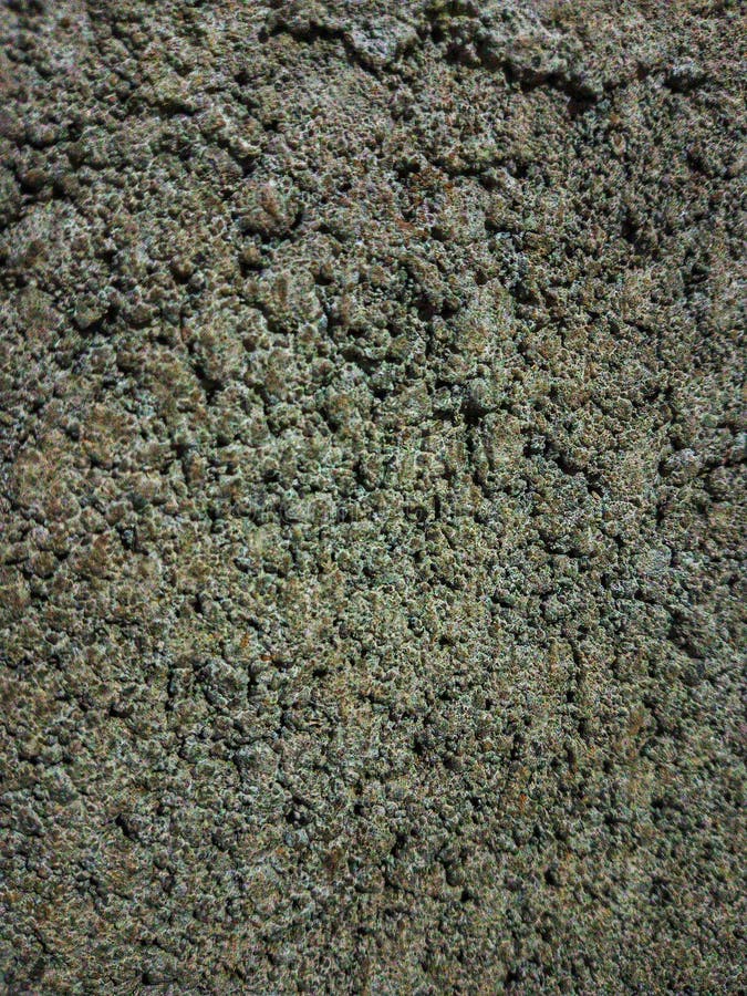 The Walls of the House with a Rough Texture. Stock Image - Image of ...