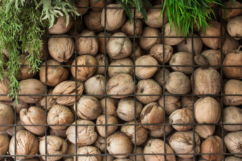 Walls are Made with Coconut Layer Stack. Stock Image - Image of food ...