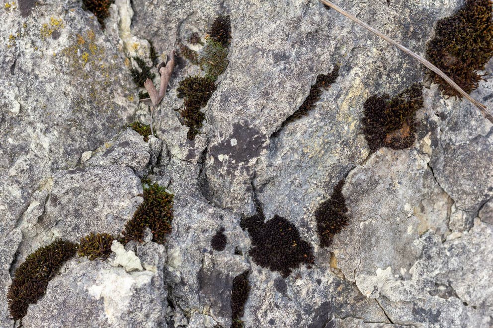 Natural Mountain Stone, Cut Structure, Material for Construction Work ...